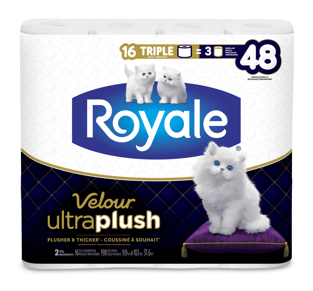 Wholesale Royale Velour BT 16TR=48R 2Ply 198S(16Rolls) - Chens ...